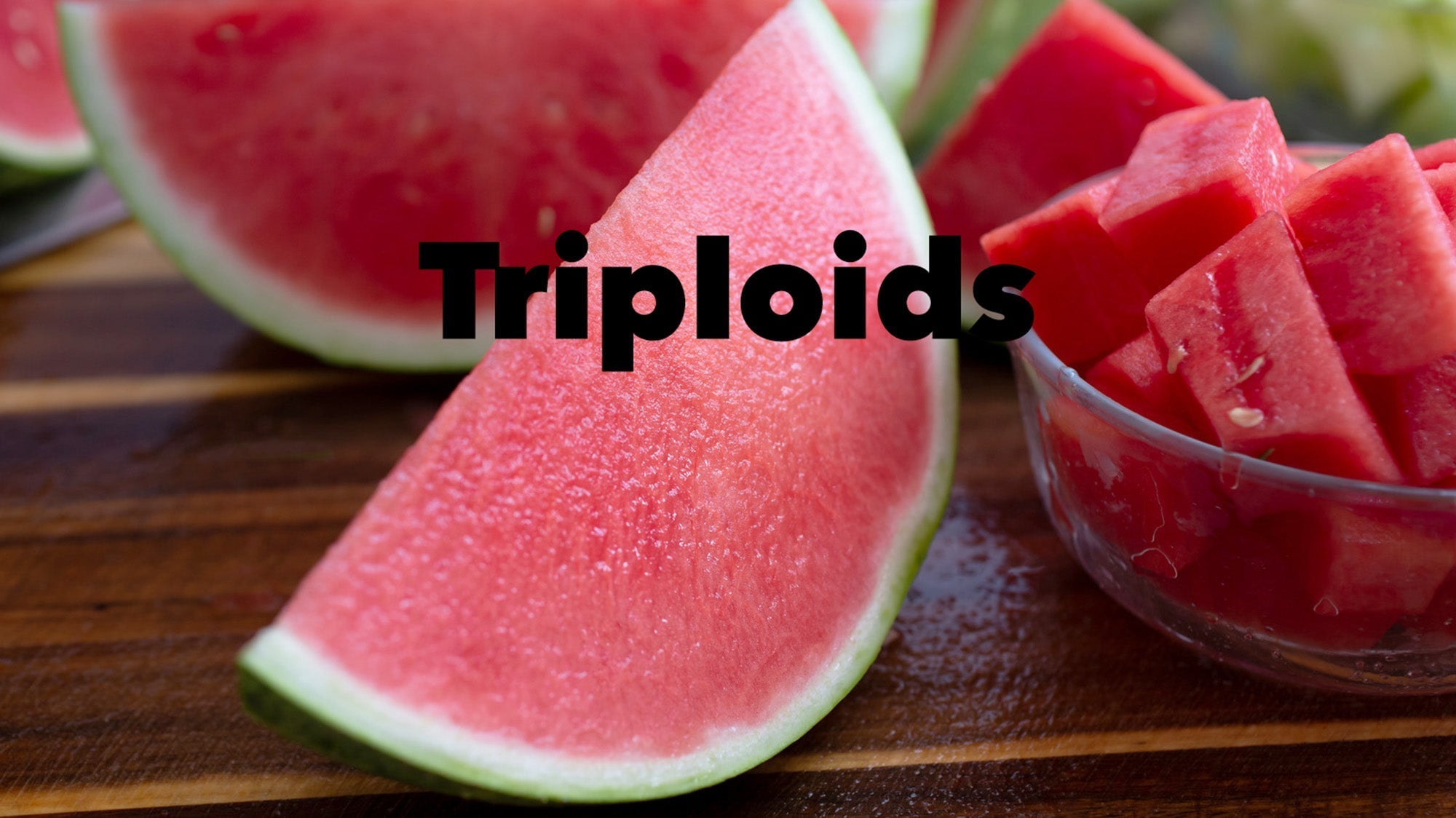 Common Triploid Seeds in Agriculture – GTR Seeds